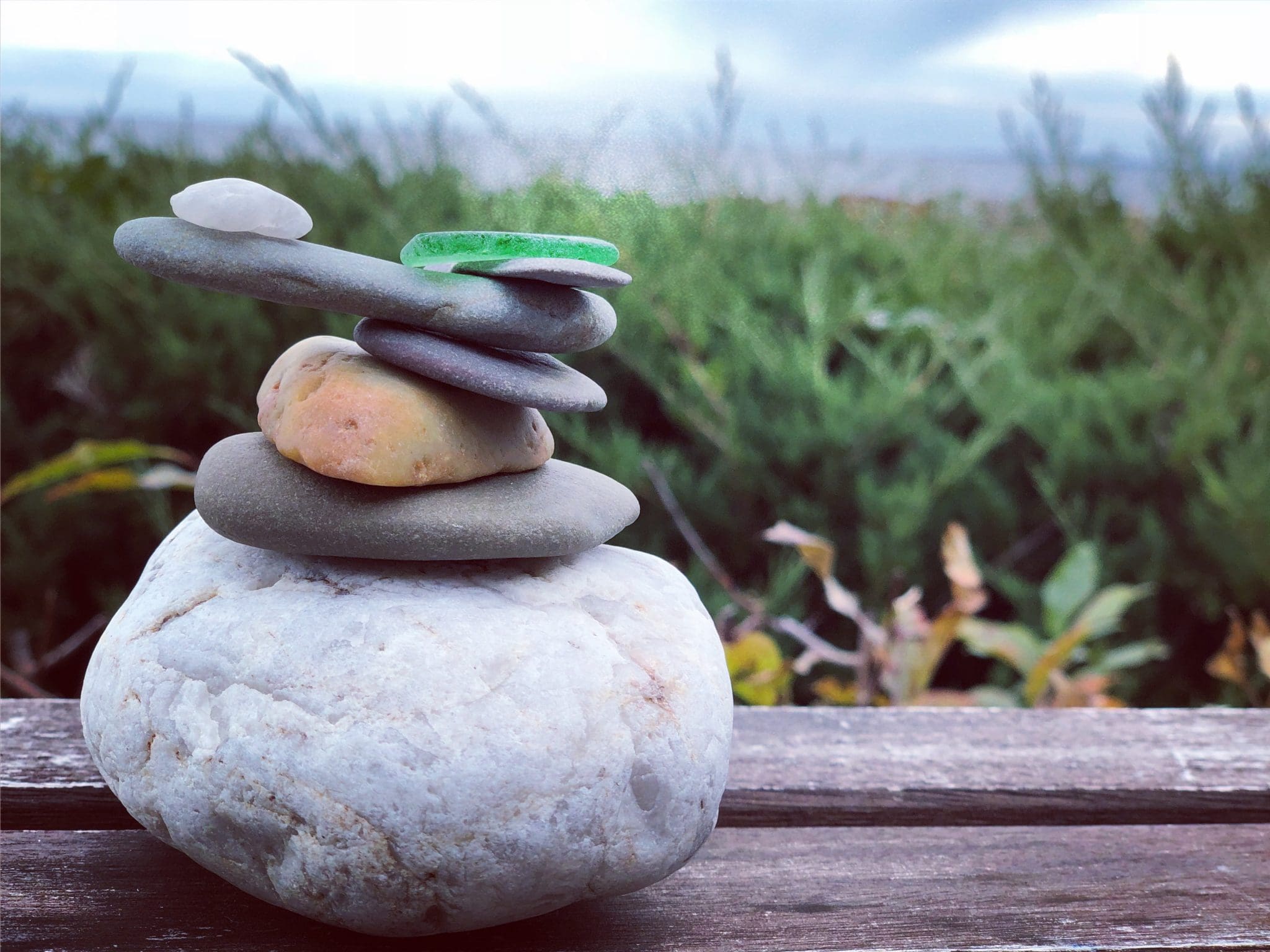 Welcome New Member! | Alchemy Learning Center