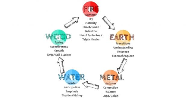 Understanding The Five Elements & Understanding The Nine Palaces Bundle ...