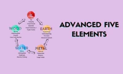 Courses | Alchemy Learning Center