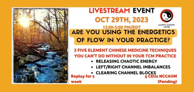 Courses – Alchemy Learning Center